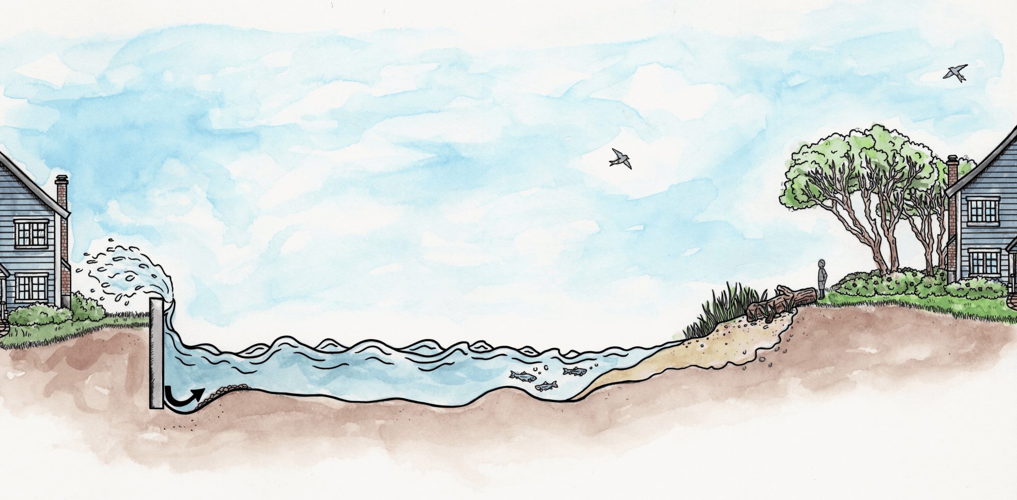 Nature-based Solutions for the Shoreline - Resilient Coasts for Salmon