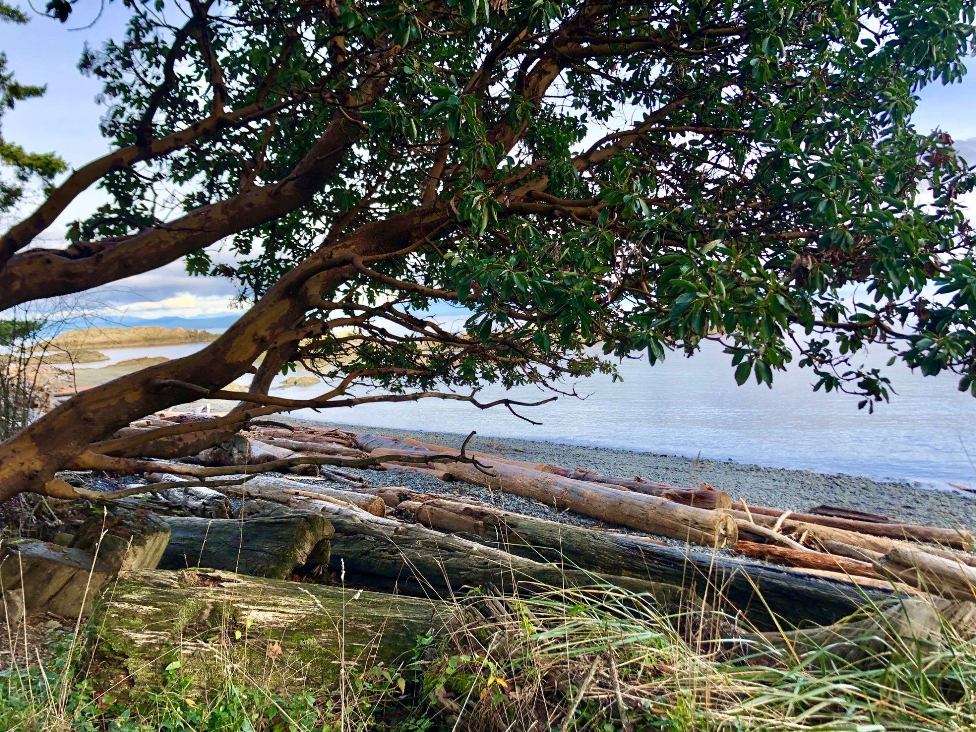 Salmon and Shoreline Modifications - Resilient Coasts for Salmon