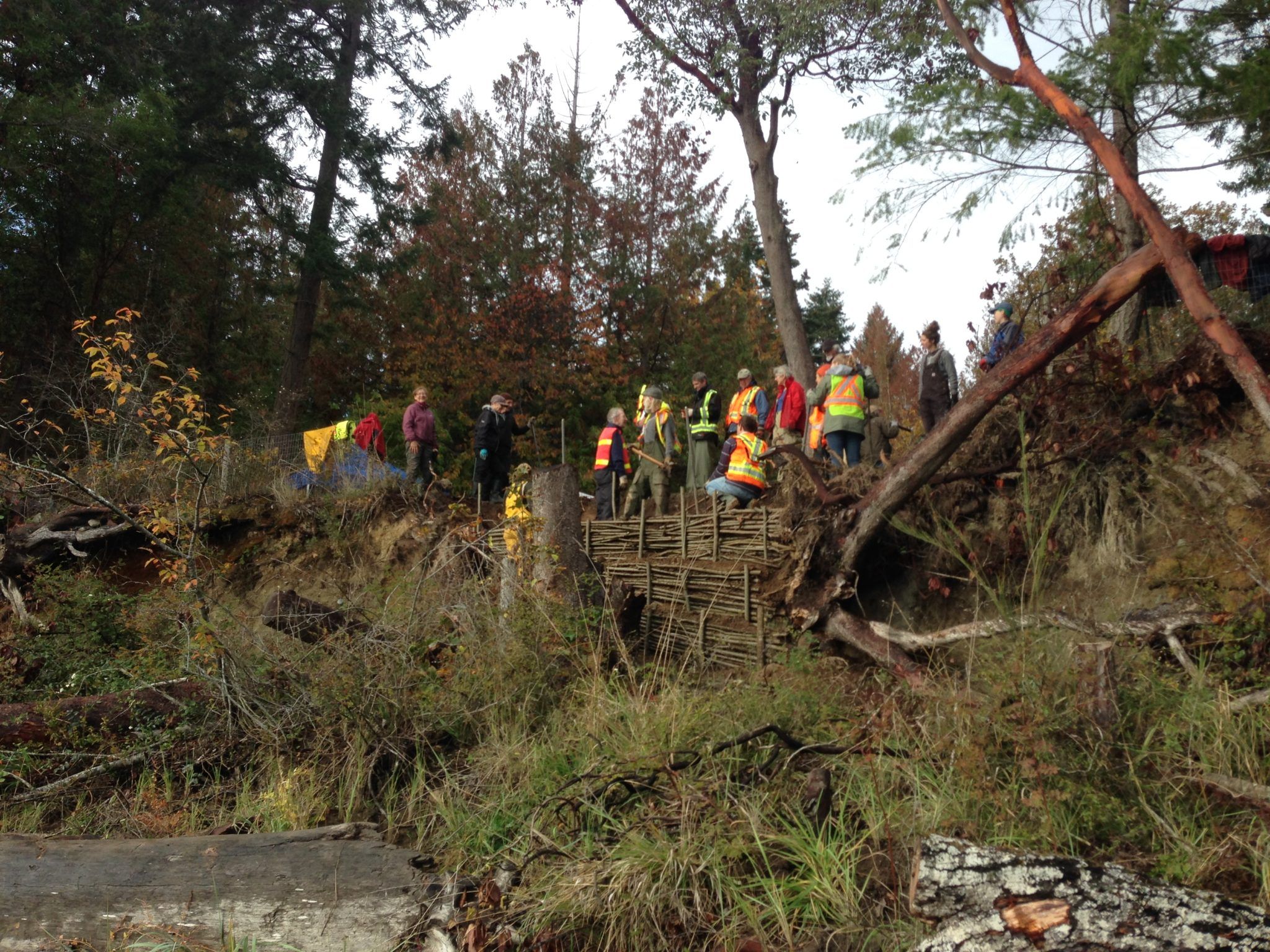 Nature-based Solutions for the Shoreline - Resilient Coasts for Salmon