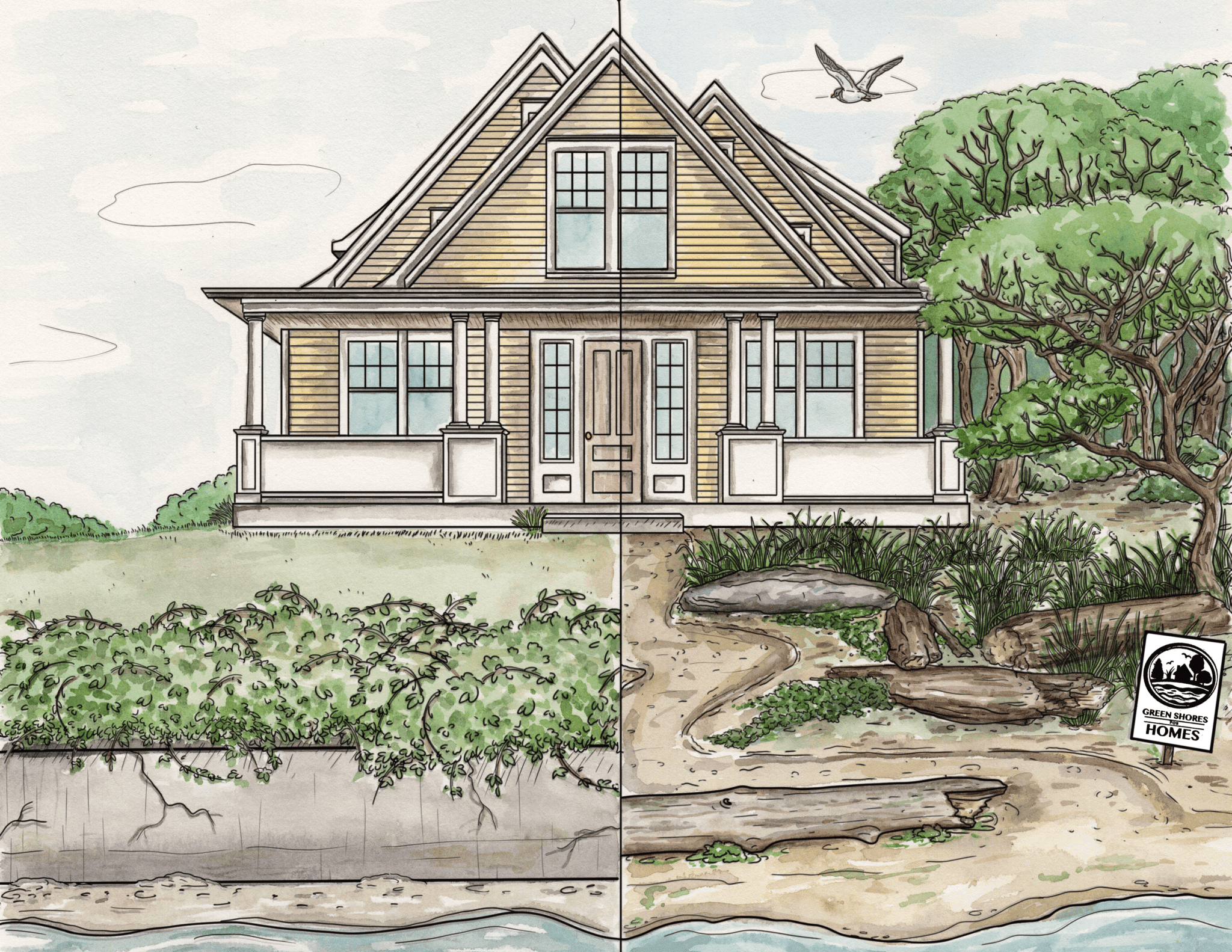 What is Green Shores? - Resilient Coasts for Salmon