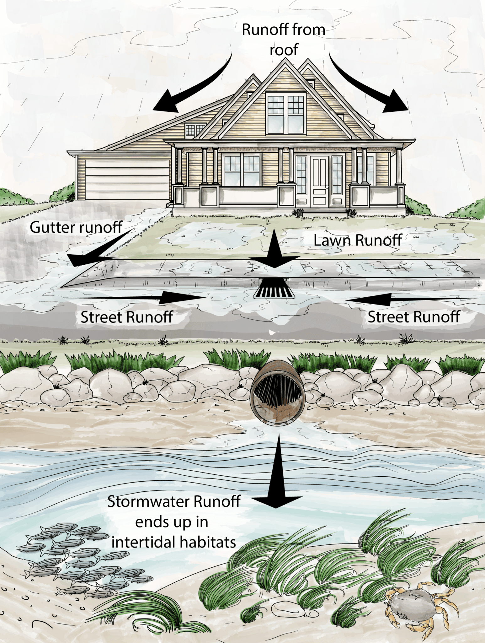 Nature-based Solutions to Manage Stormwater Runoff - Resilient Coasts ...