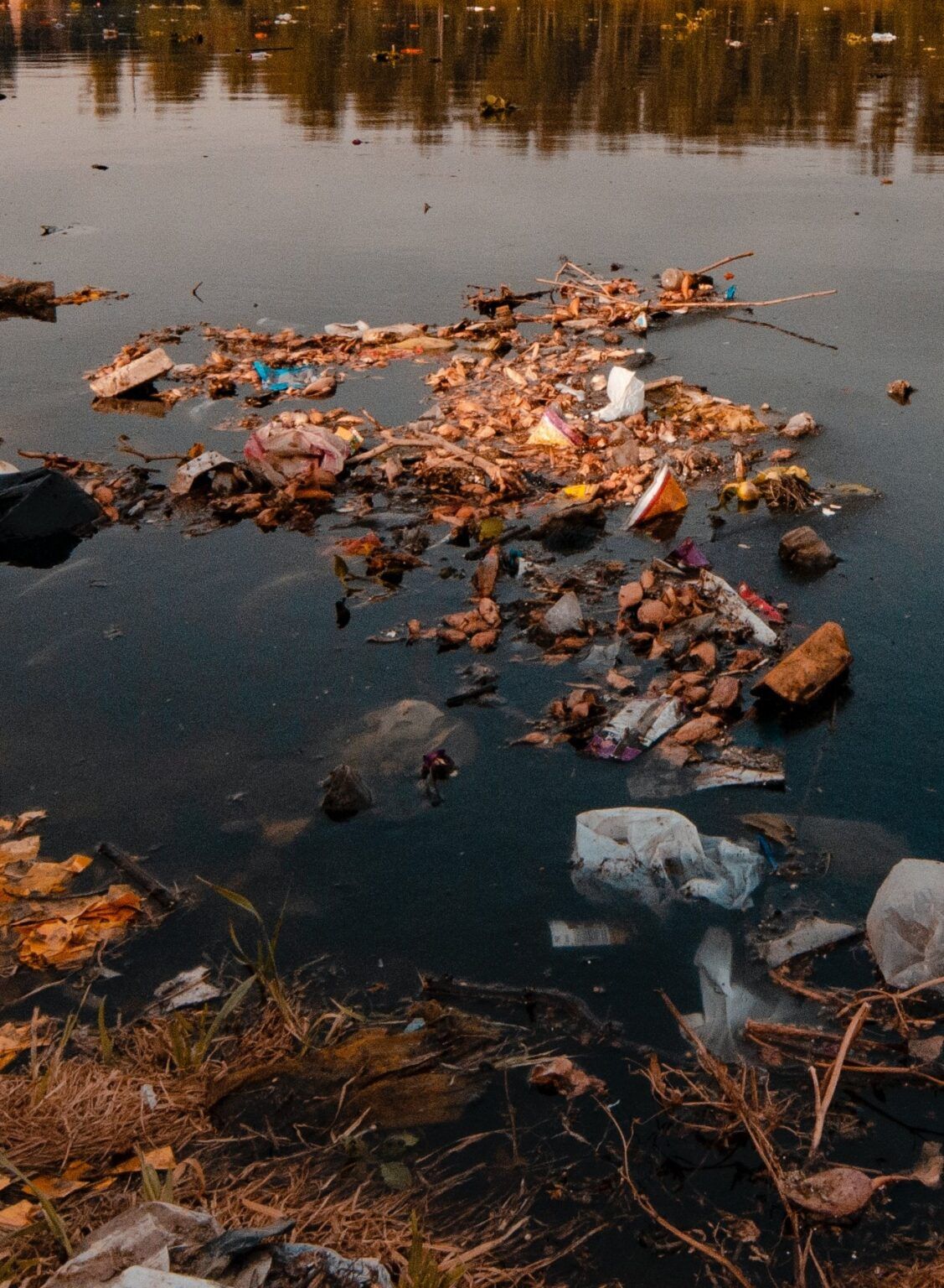 Being a green boater - Resilient Coasts for Salmon