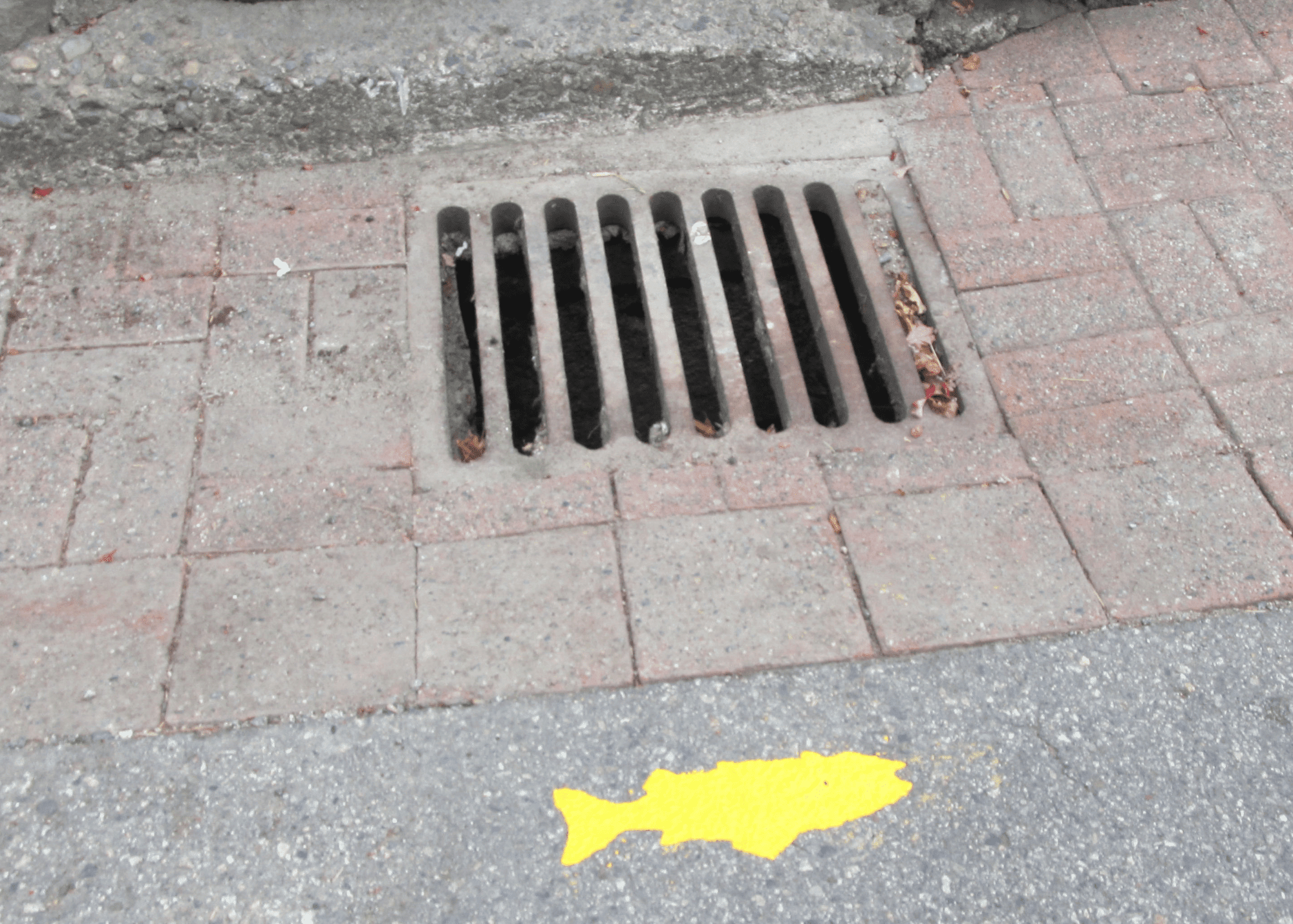 Nature-based Solutions to Manage Stormwater Runoff - Resilient Coasts ...