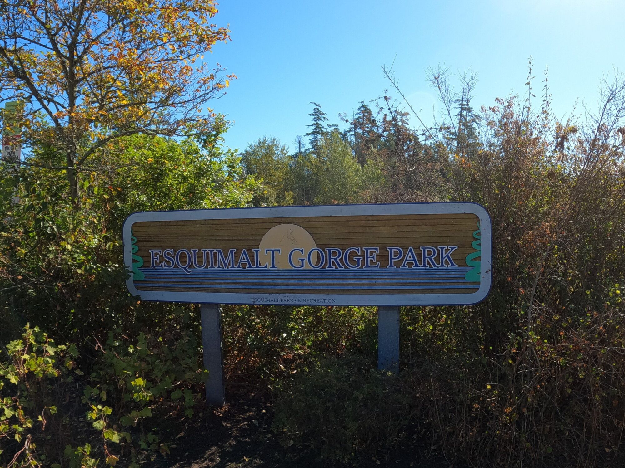 Esquimalt Gorge Demo Site Update - Resilient Coasts for Salmon