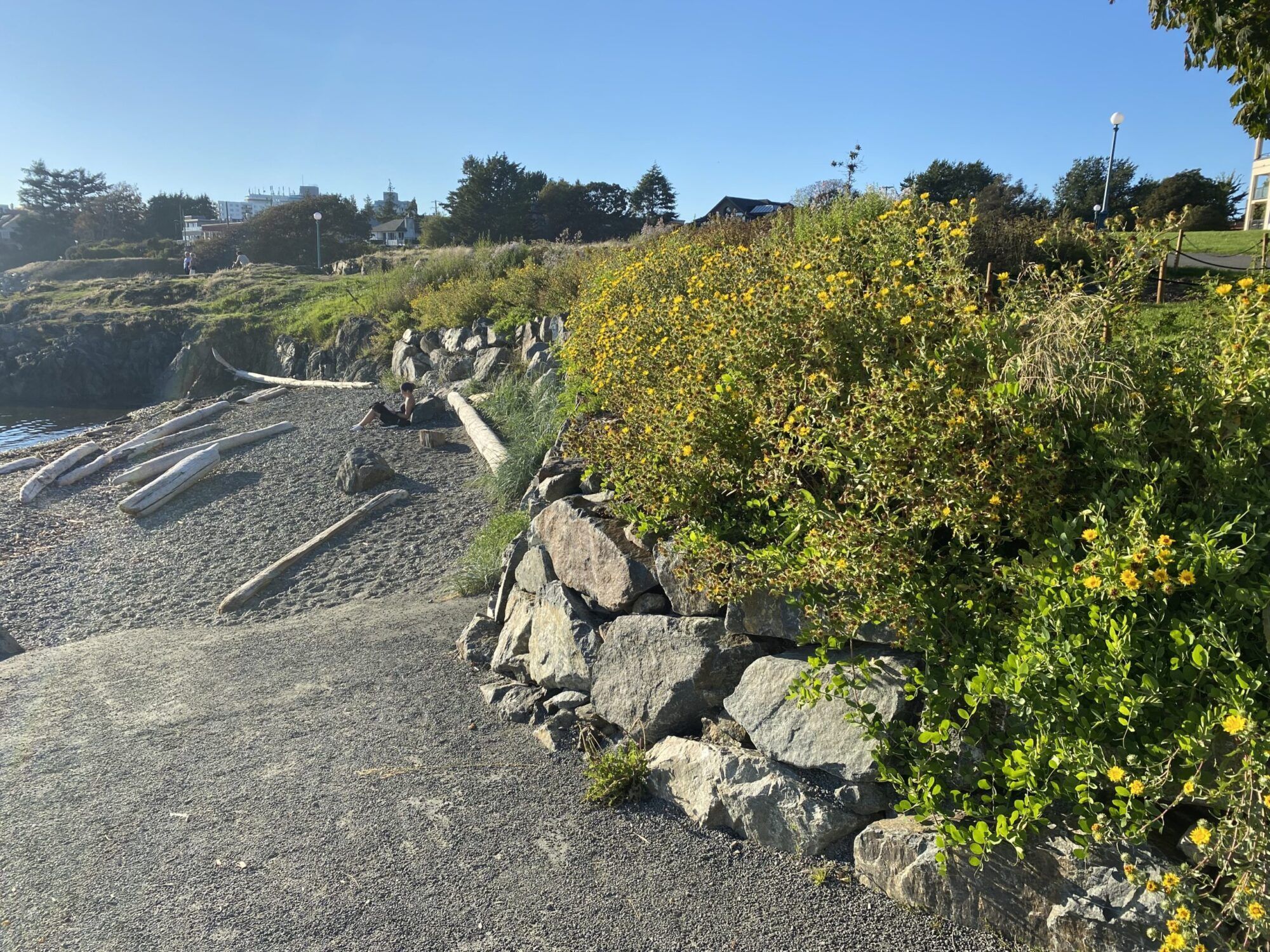 How to Design Effective Shoreline Access - Resilient Coasts for Salmon