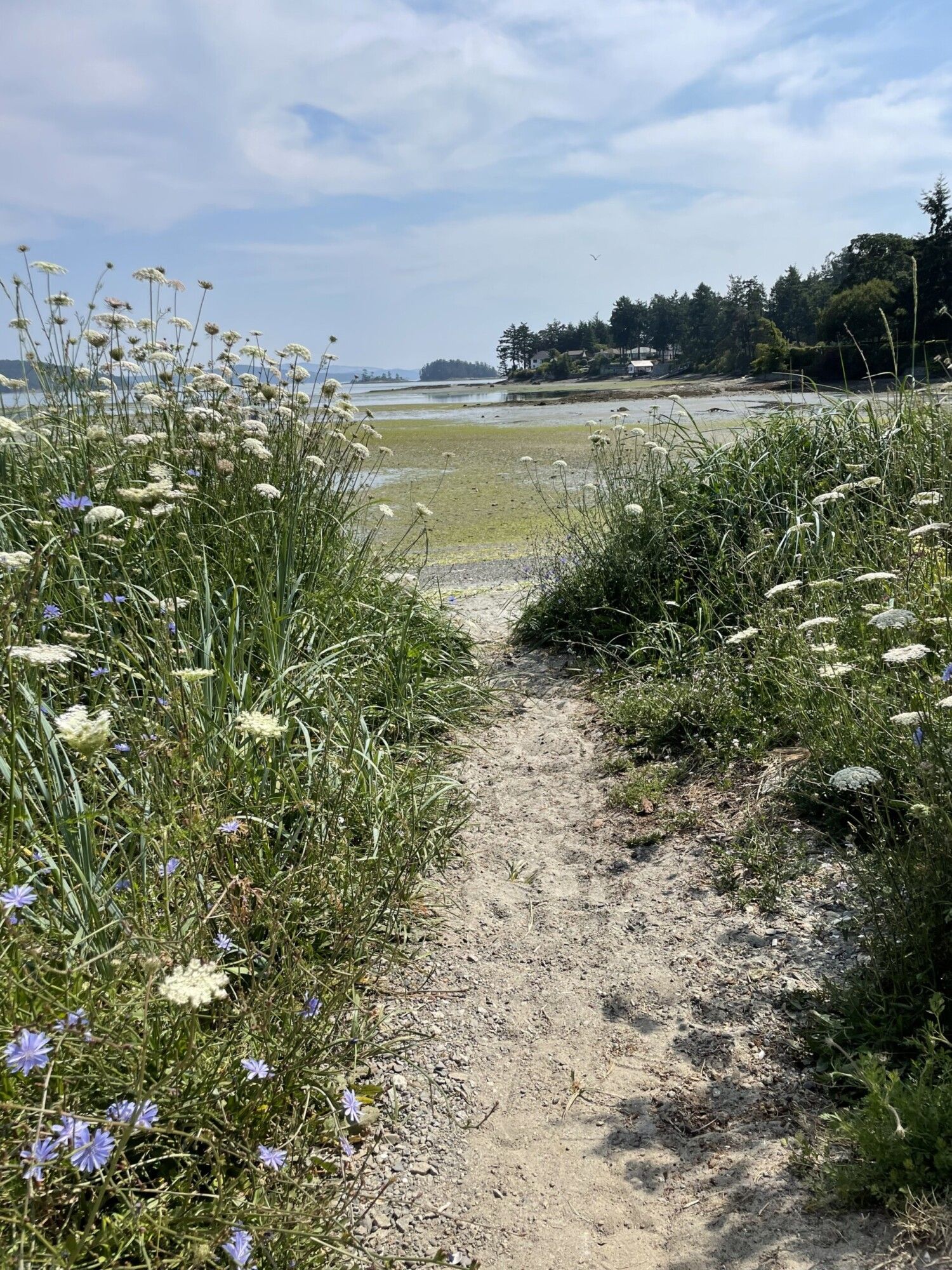 How to Design Effective Shoreline Access - Resilient Coasts for Salmon