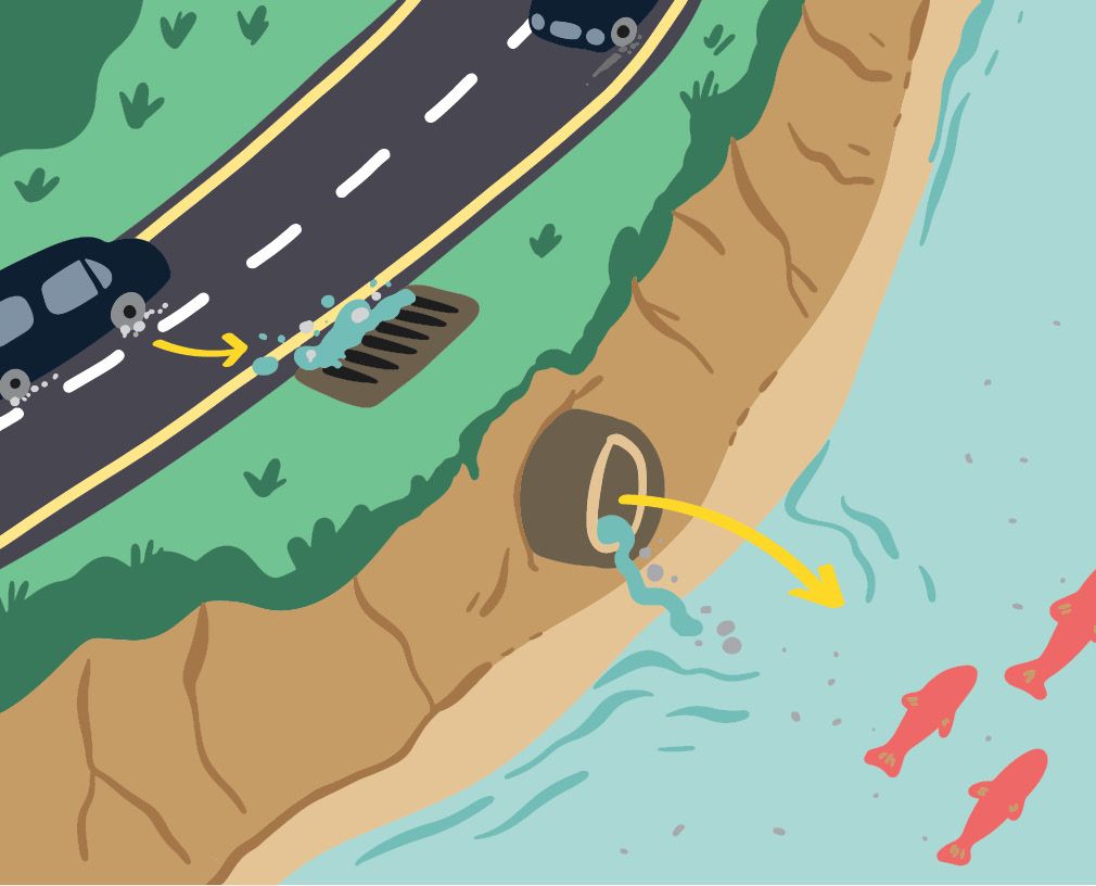 Printable Resources - Resilient Coasts for Salmon